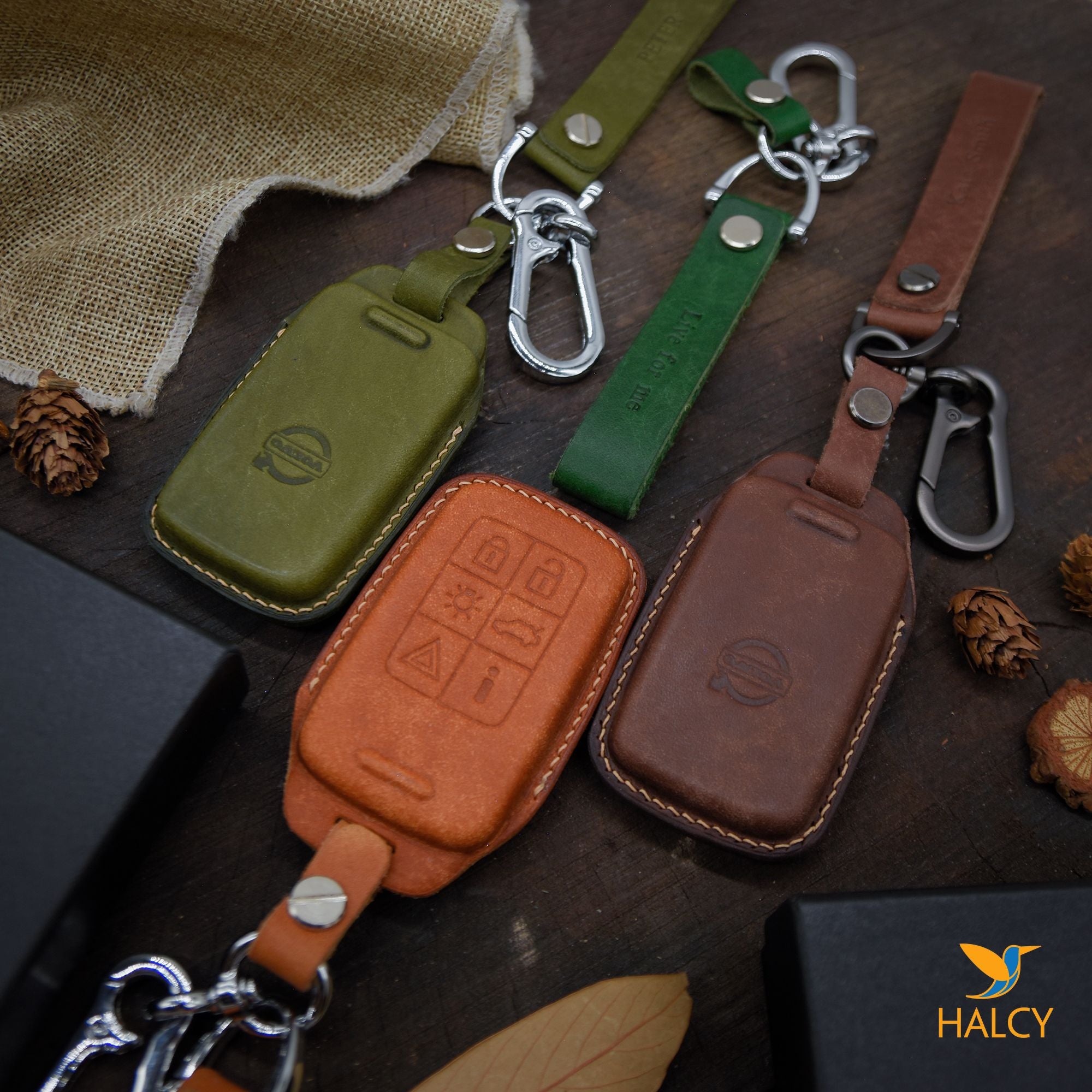 Volvo – Halcy WORLD