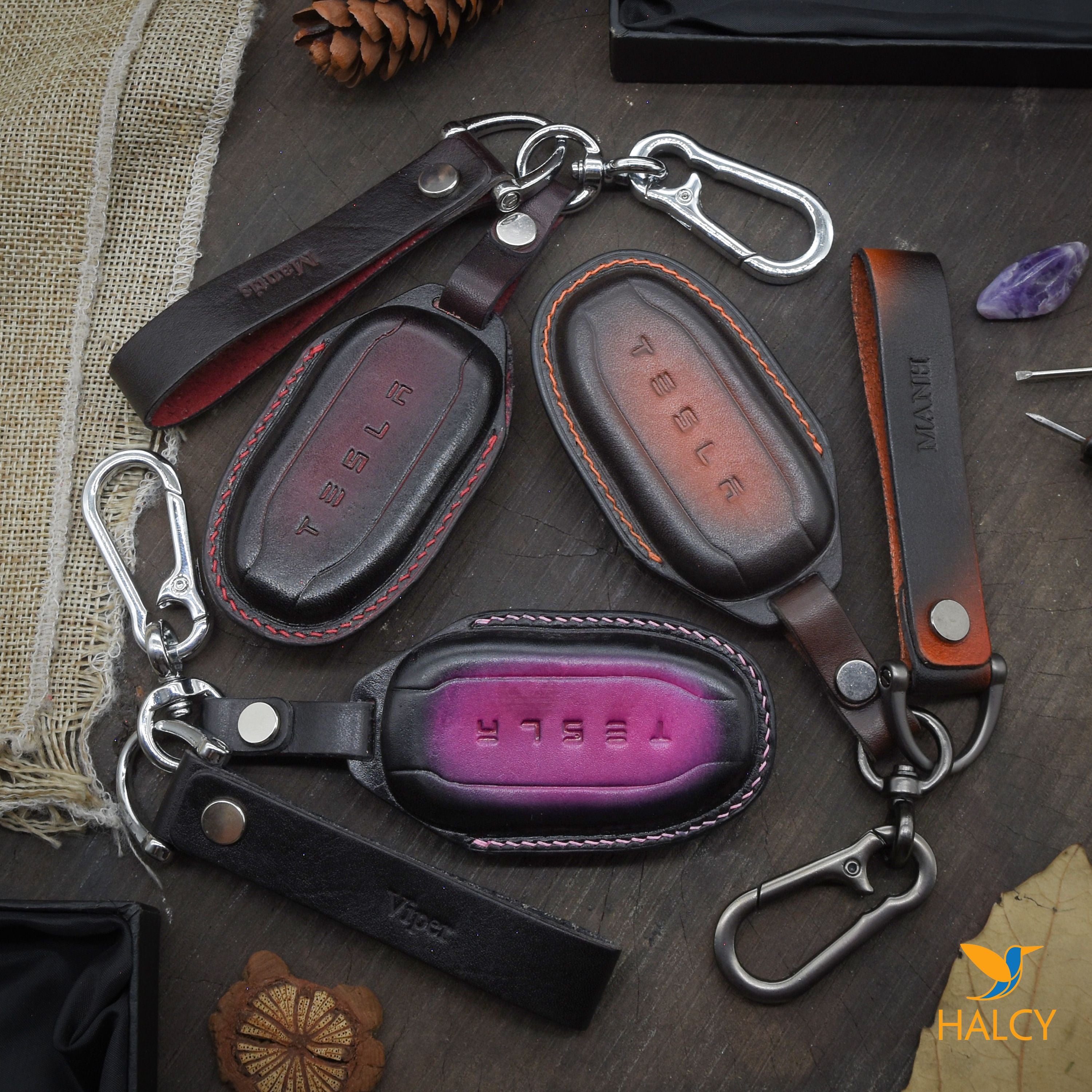 Tesla – Halcy WORLD